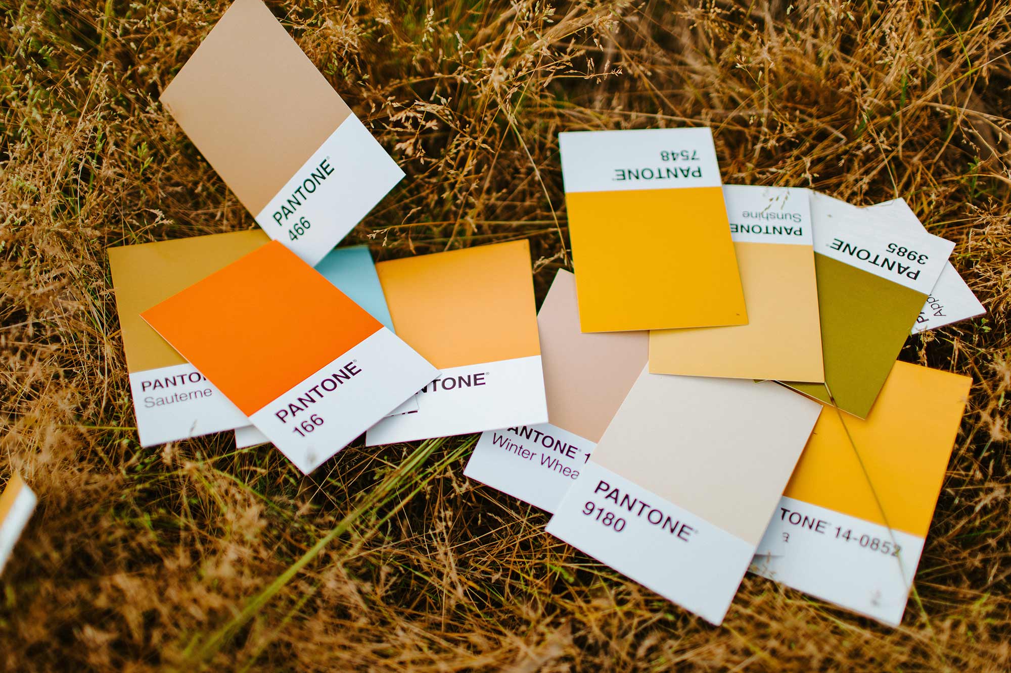 DIY Branding - studio8design.com